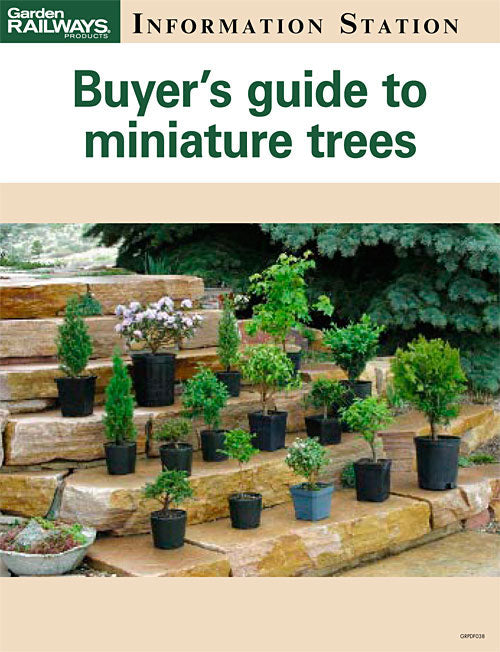 Buyer's guide to miniature trees – Trains.com Store